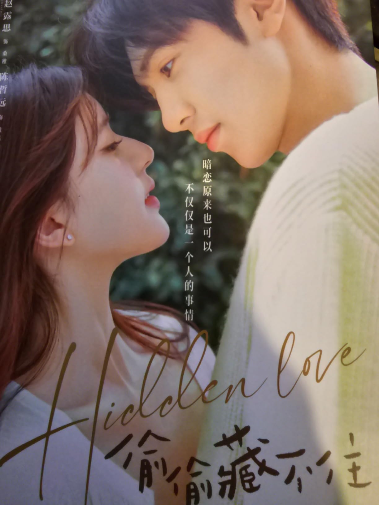 Amazon.com: Hidden Love (4-DVD Digipak, English Sub, Chinese Drama ...