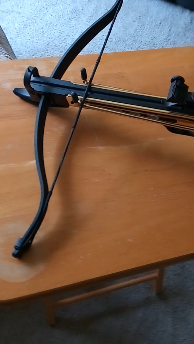 Watch Snake Eye Tactical Cobra System Self Cocking Pistol Tactical on ...