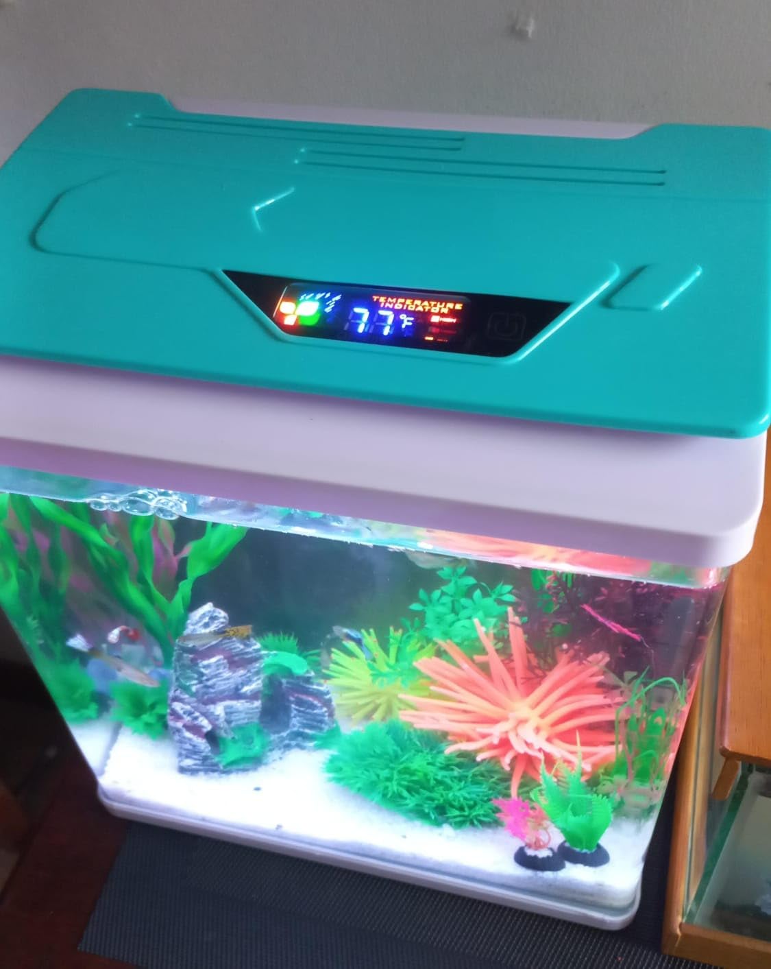 $11/mo - Finance PONDON Fish Tank, 3 Gallon Glass Aquarium, 3 in 1 Fish ...