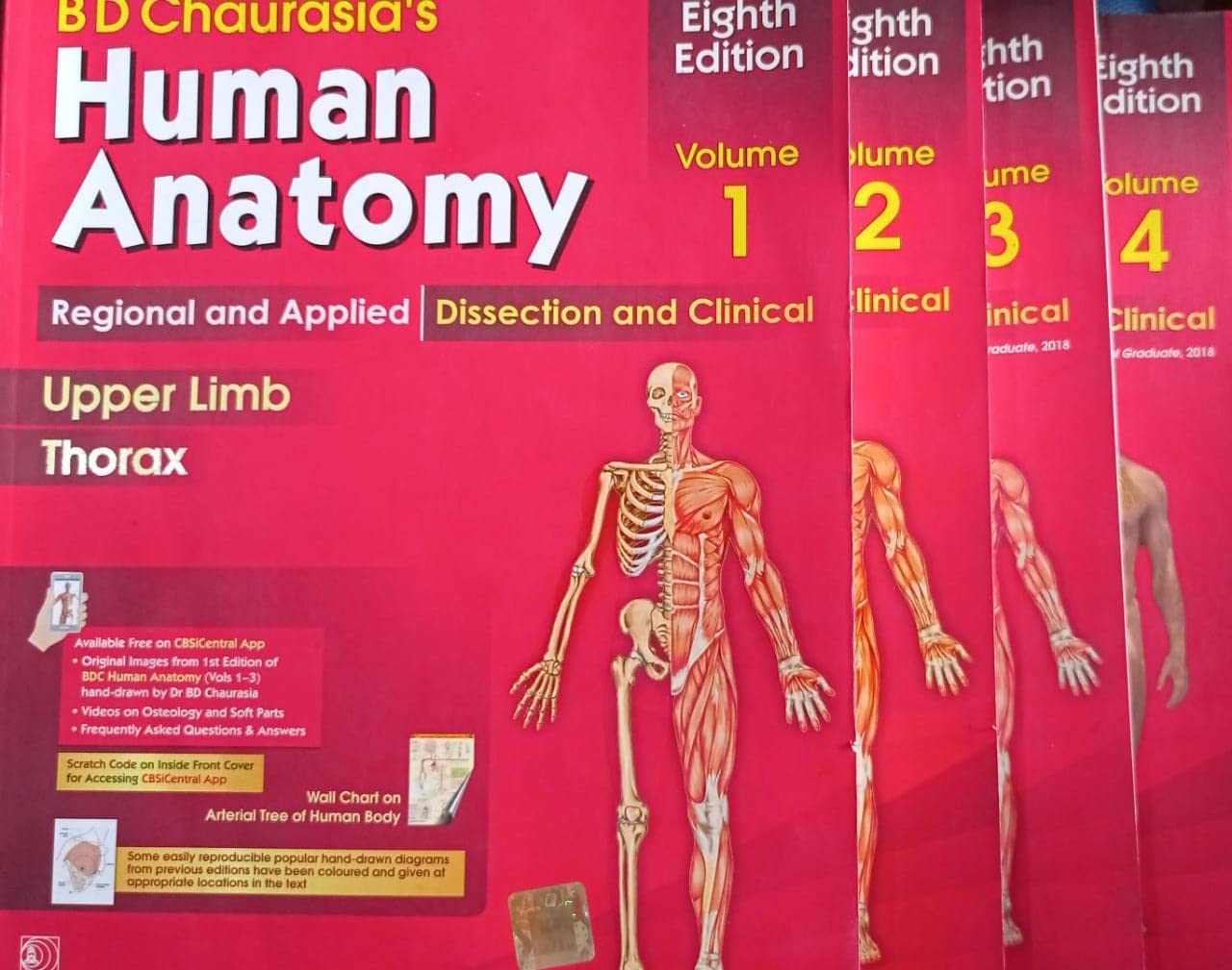 Buy BD Chaurasia Human Anatomy Upper Limbs Thorax | Lower Limb Abdomen ...