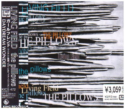 Living Field - PILLOWS: Amazon.de: Musik-CDs & Vinyl