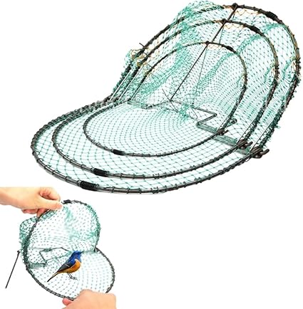 Amazon.com : Pigeon Bird Trap,Large Spring Domestic Humane Live Bird ...