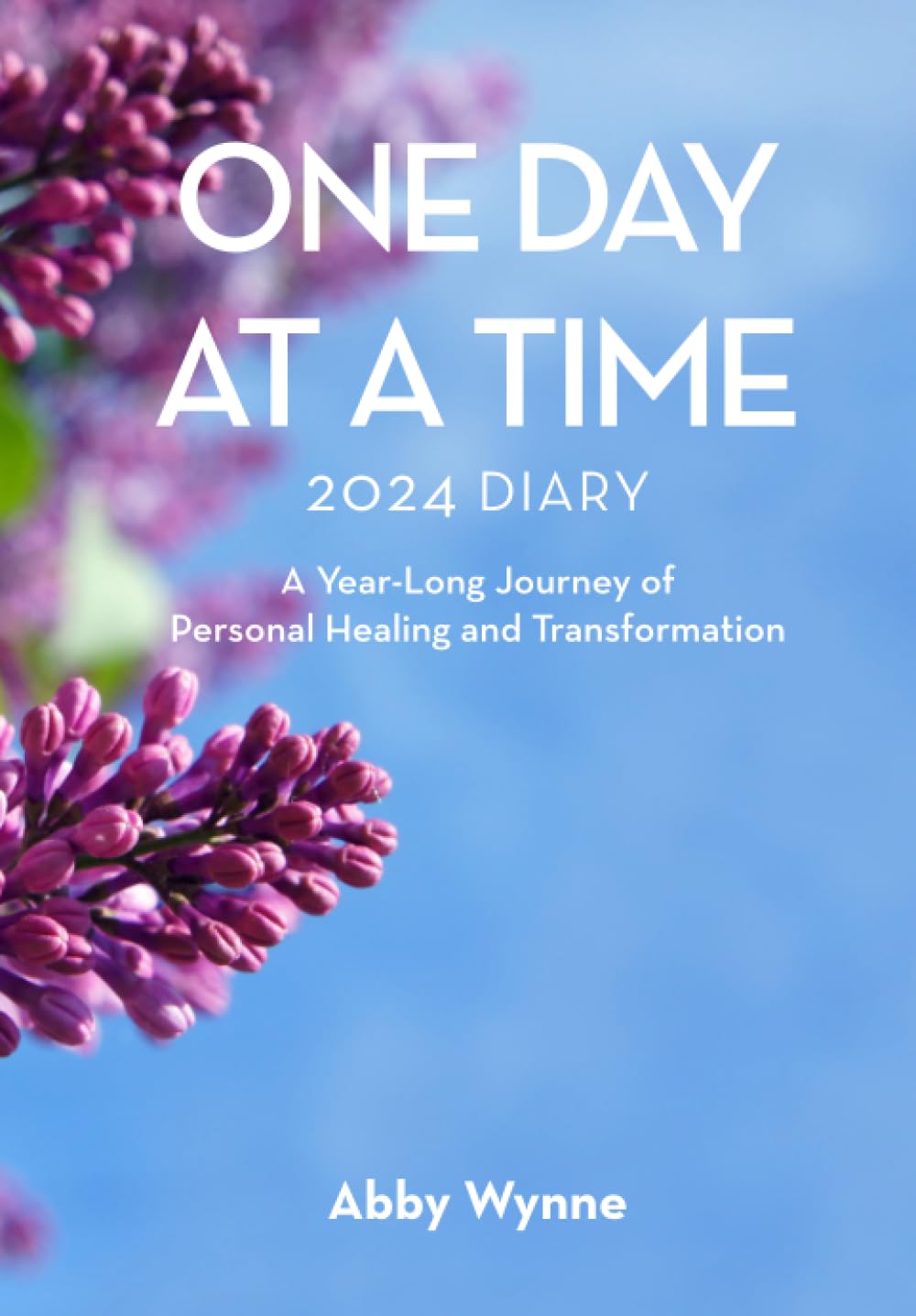 One Day at a Time Diary 2024: A Year-Long Journey of Personal Healing ...