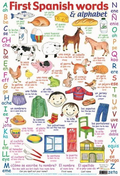 Grindstore Laminated Spanish Words & Alphabet Mini Poster : Amazon.co ...