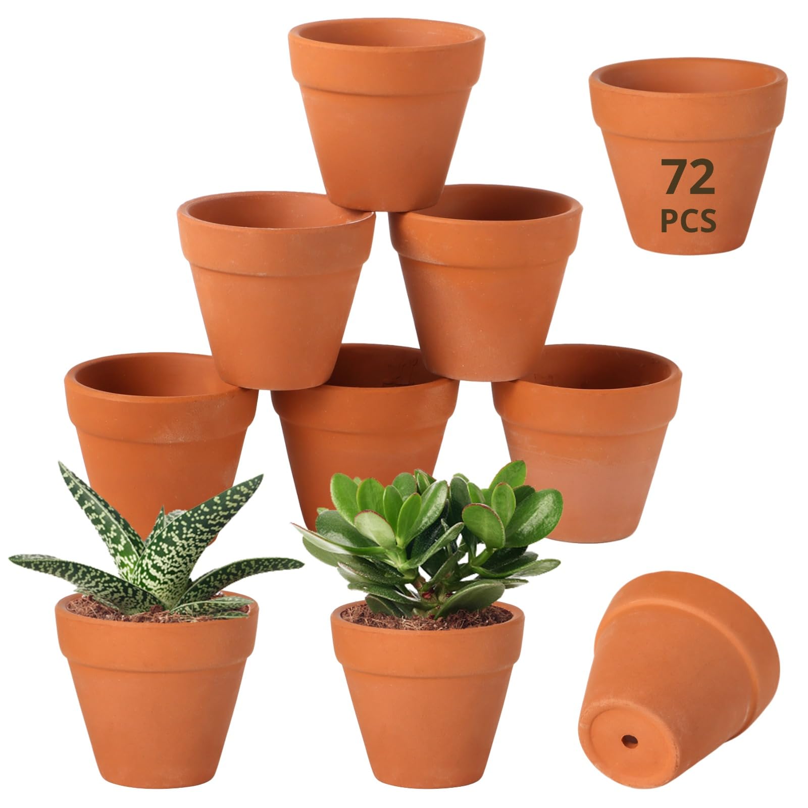 Amazon.com: 72Pcs Mini Terracotta Pots, 2.17" Succulent Nursery Pots ...