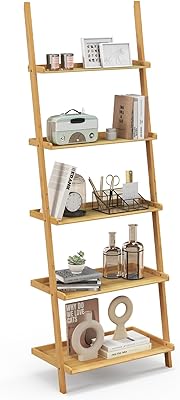Amazon.com: CRTERICX Small Acrylic Ladder Bookshelf, 9.5" D x 15.6" W ...