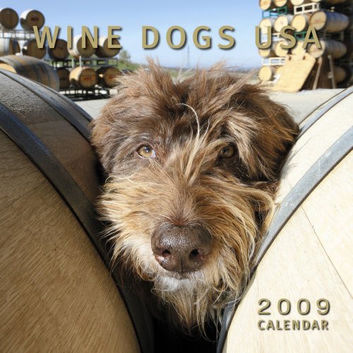 Buy Wine Dogs USA 2009 Calendar Book Online at Low Prices in India ...