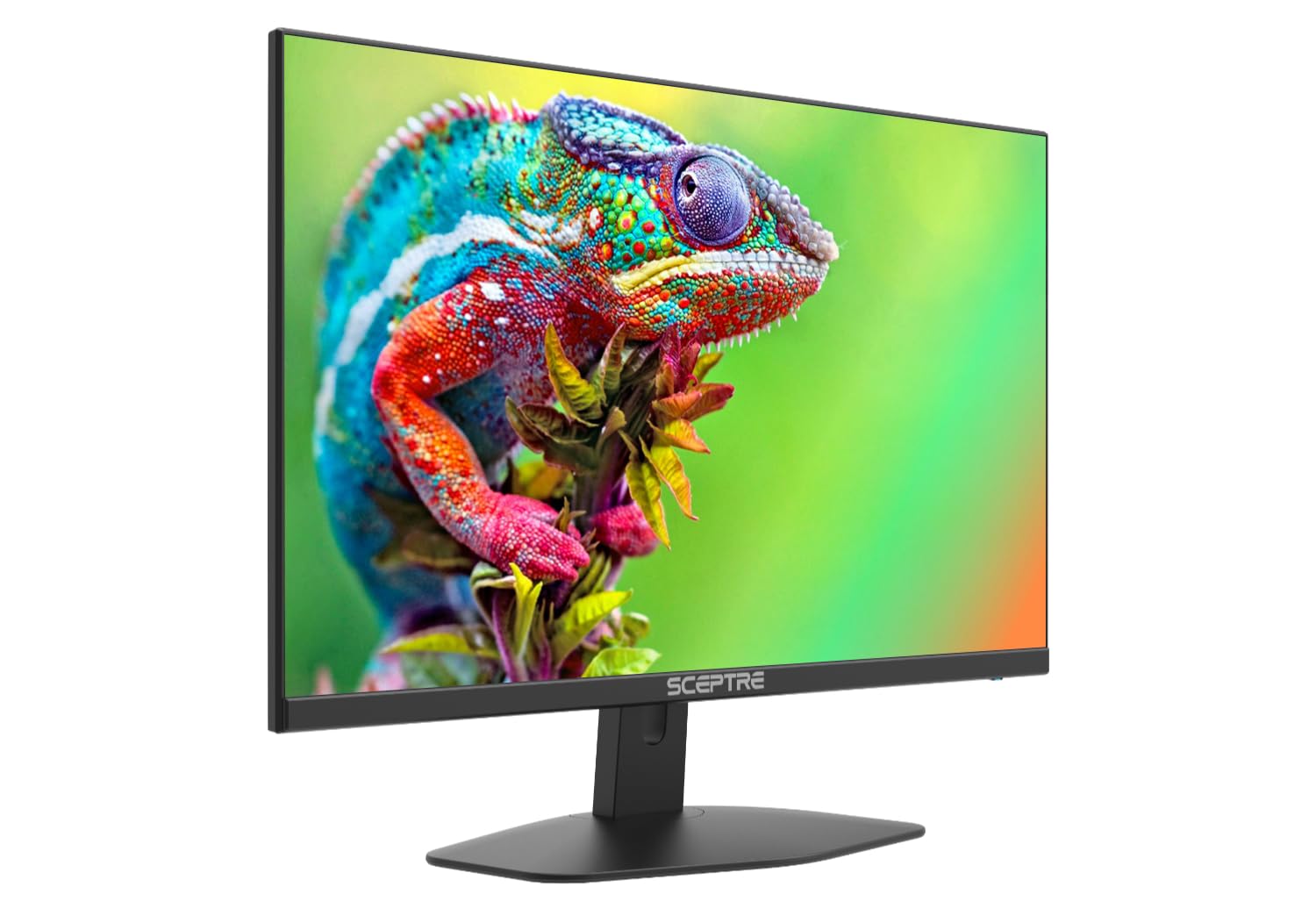 Sceptre 24" IPS Monitor 1920 x 1080p Ultra Slim 75Hz HDMI VGA 99% sRGB ...