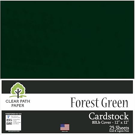 Amazon.com : Timber Green/Dark Green Cardstock Paper - 12 x 12 inch ...