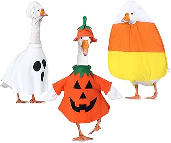 Amazon.com: Bulyoou 3 Set 23'' Goose Outfit Halloween Pumpkin Ghost ...