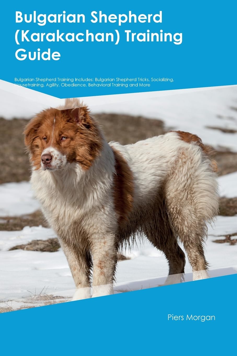 Bulgarian Shepherd (Karakachan) Training Guide Bulgarian Shepherd ...