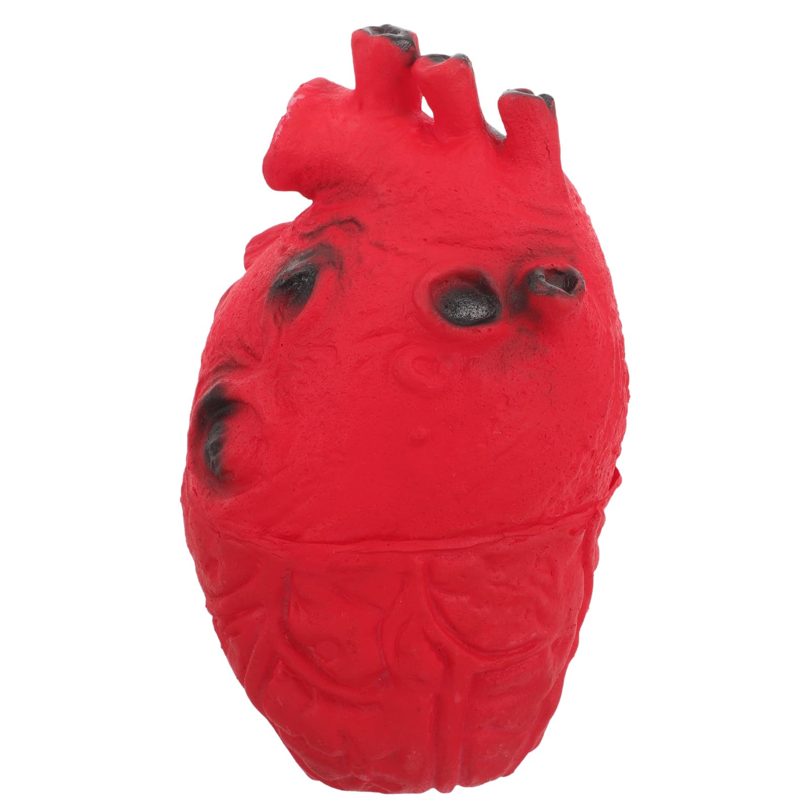 Amazon.com: MAGICLULU 1pc Horrible Heart Props Halloween Scary Heart ...