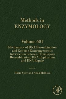 Ssb Proteins: Critical Dna Replication Protectors And Stabilizers | MedShun