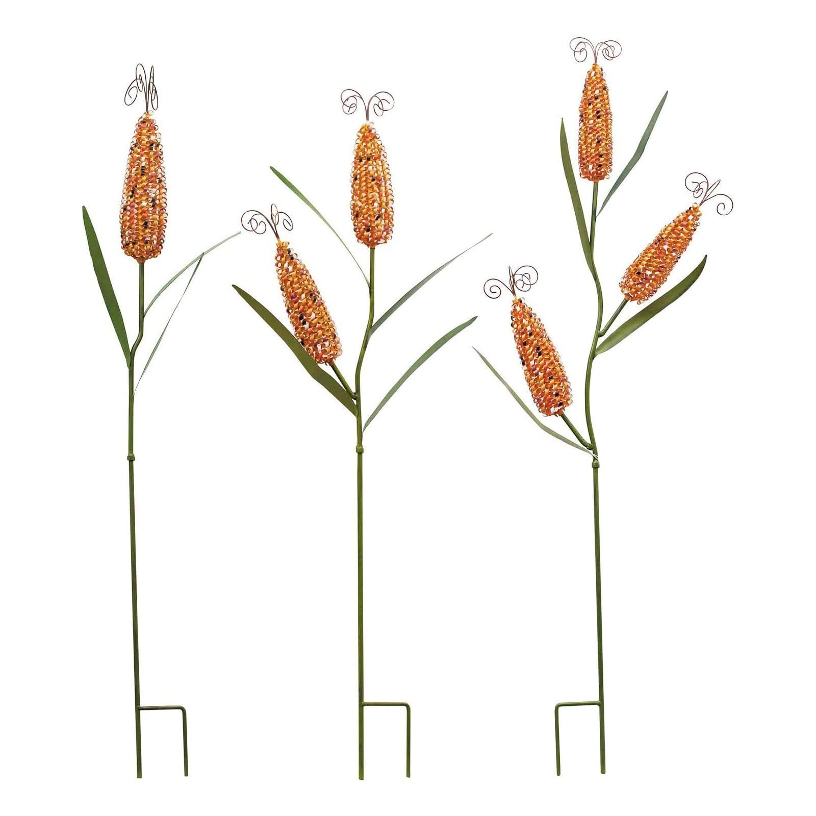 Corn Stalk Drawing