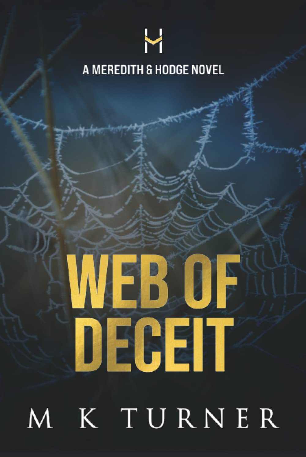 Amazon.com: Web of Deceit (Meredith & Hodge Novels): 9781739816551 ...