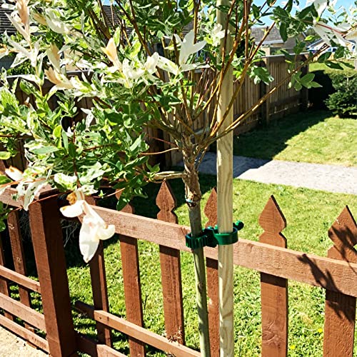 WOSO 8 Pcs 25 cm Tree Ties Straps Supports Heavy Duty Shrub Ties ...