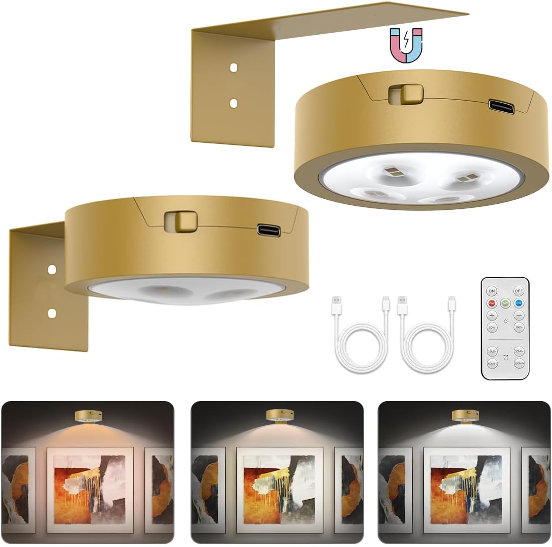 Picture Lights Rechargeable Battery Operated Wall Art Lights,Wireless ...