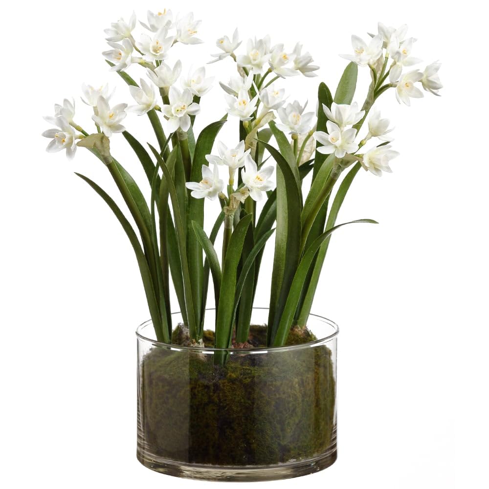 Amazon.com: 13" Silk Paperwhite Flower Arrangement w/Glass Vase -White ...