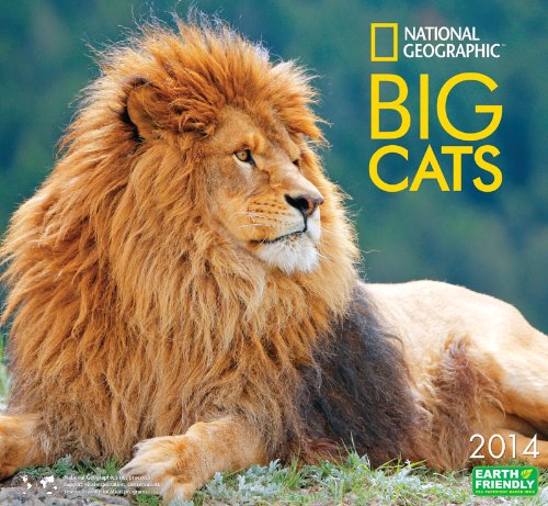 National Geographic Big Cats 2014 Calendar: Zebra Publishing Corp ...