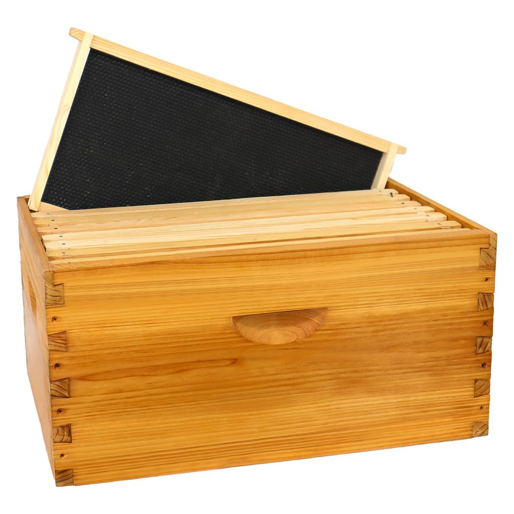 Beeinn 8 Frame Deep Brood Bee Hive Box Langstroth Honey | Desertcart INDIA
