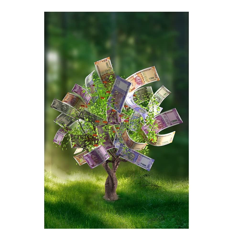 Indian Money Tree Images