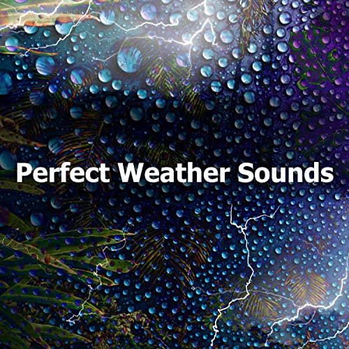 Amazon.com: Perfect Weather Sounds : Weather Sounds: Digital Music