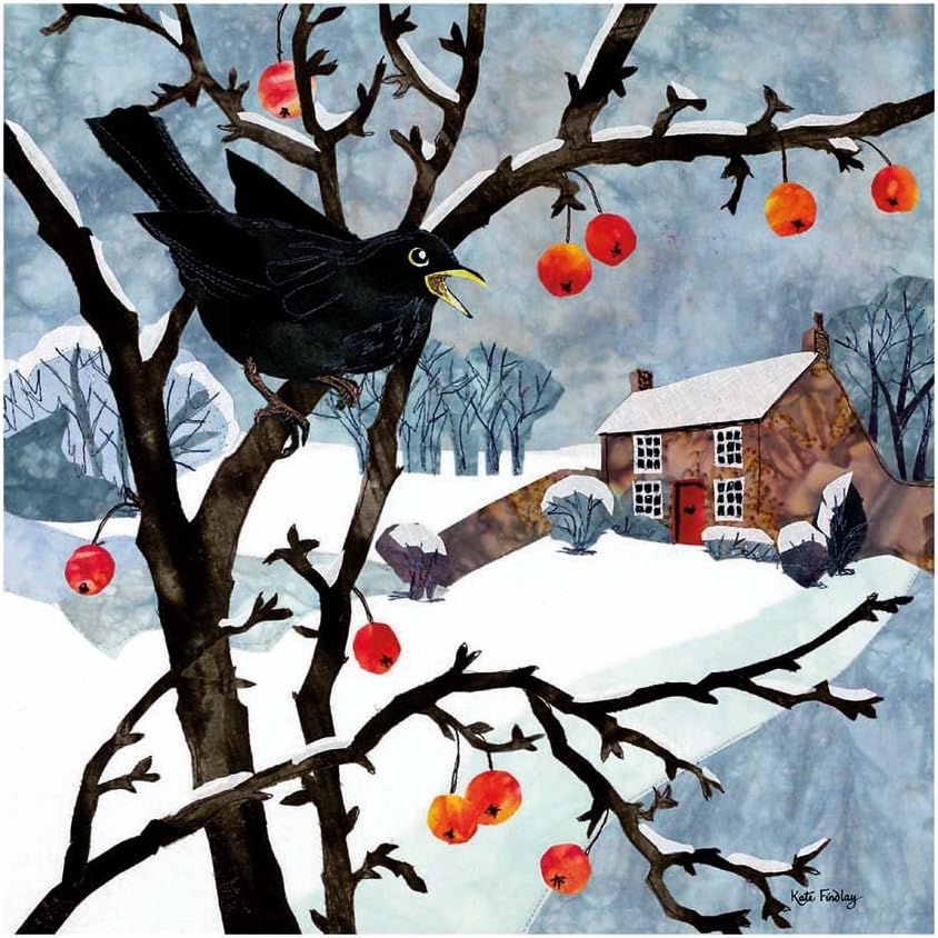Museums & Galleries Kate Findlay Frosty Feathers Winter Birds Pack of ...