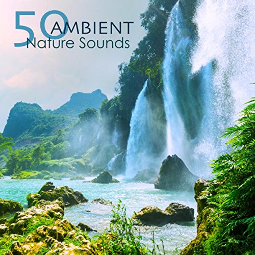 Play 50 Ambient Nature Sounds - Relaxing Natural Music with Sounds of ...