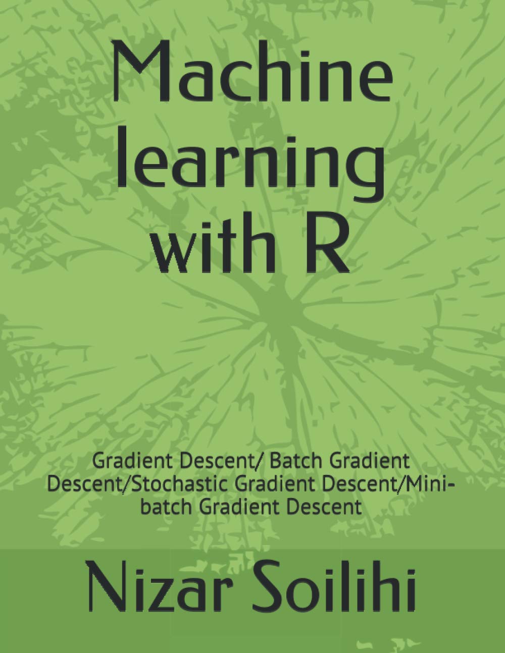 Buy Machine Learning With R Gradient Descent Batch Gradient Descentstochastic Gradient