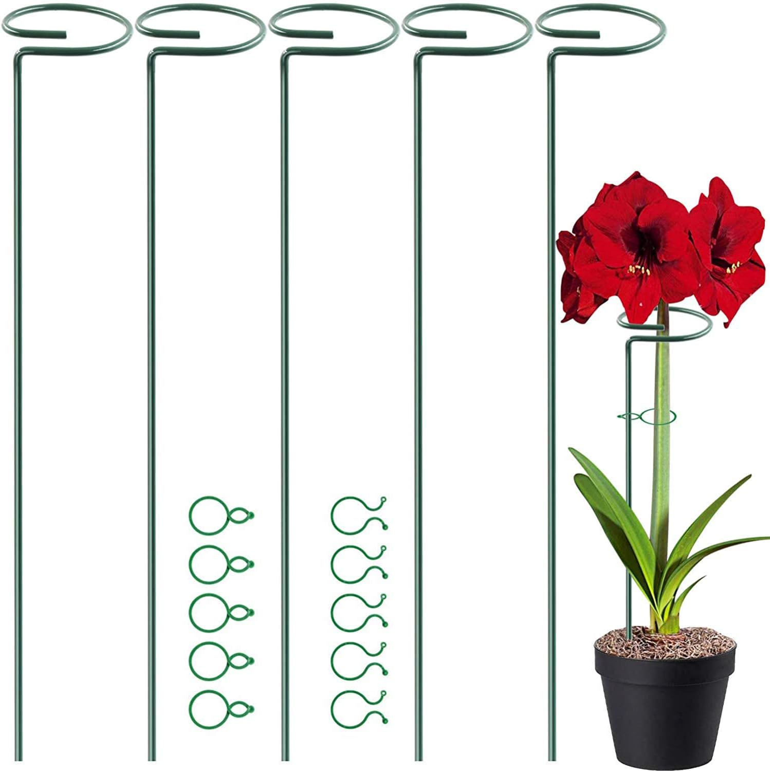 Amazon.com : Plant Holder Stakes, Adjustable Single Stem Support Stake ...