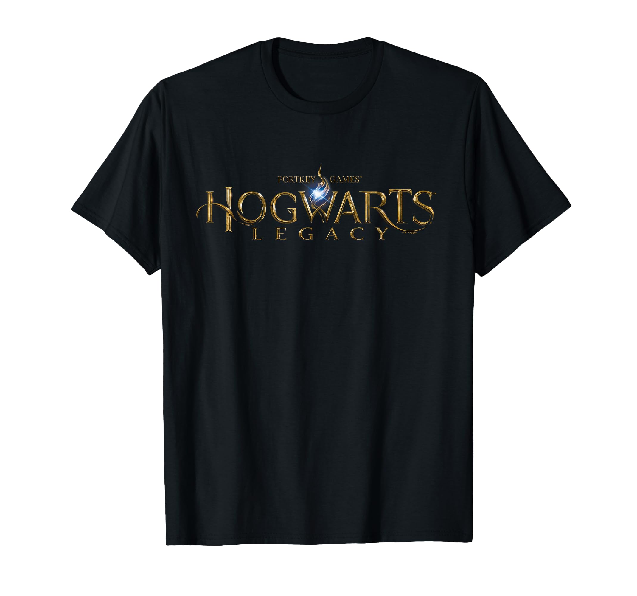 Amazon.com: Harry Potter Hogwarts Legacy Logo T-Shirt : Clothing, Shoes ...