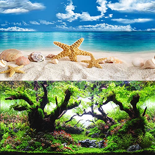 10 Stunning Aquarium Backings to Enhance the Beauty of Your Fish Tank ...