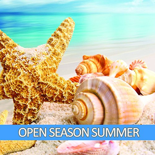 Amazon.com: Open Season Summer : VARIOUS ARTISTS: Digital Music