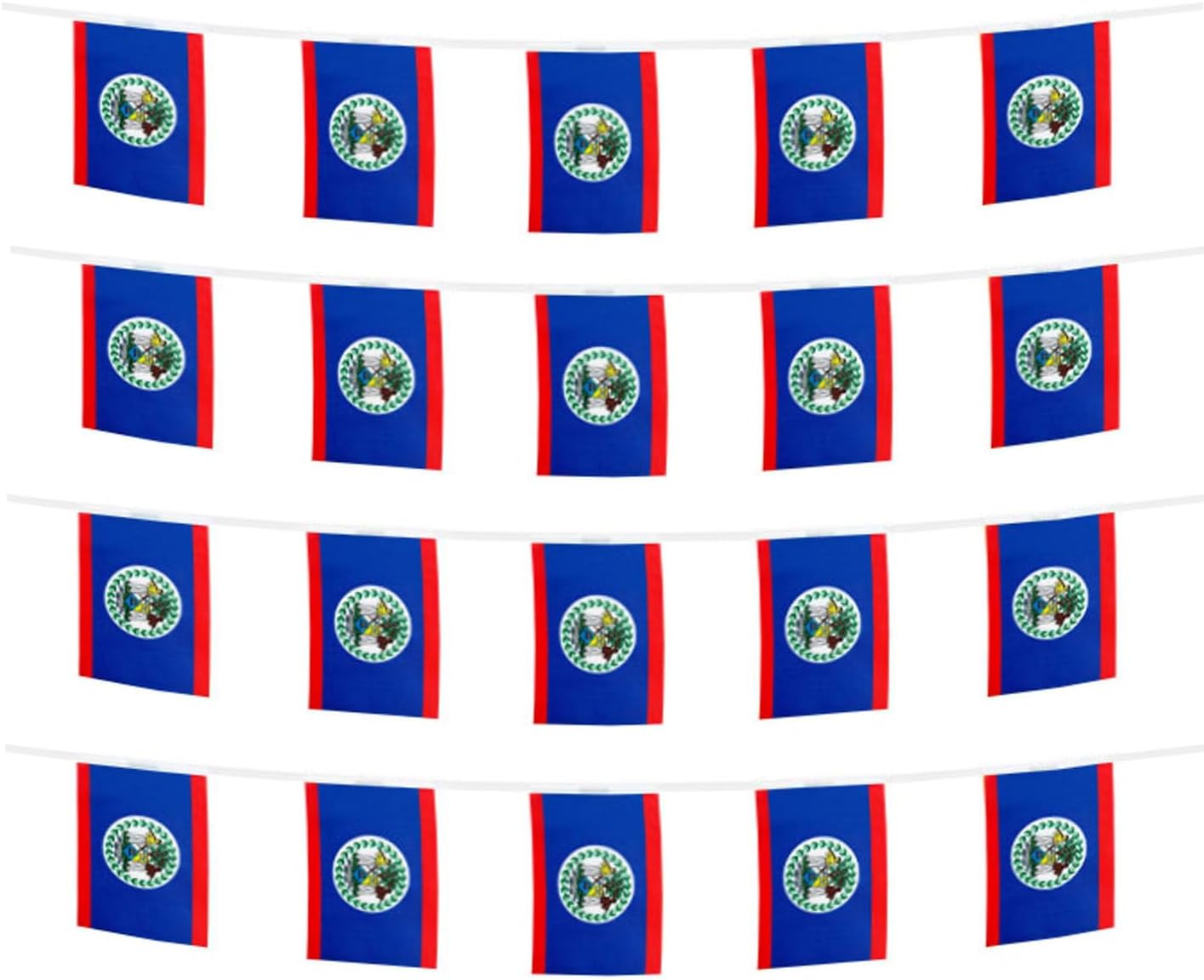 Amazon.com : FFILL Belize Banner Flag String, Belize Mini Flag Small ...