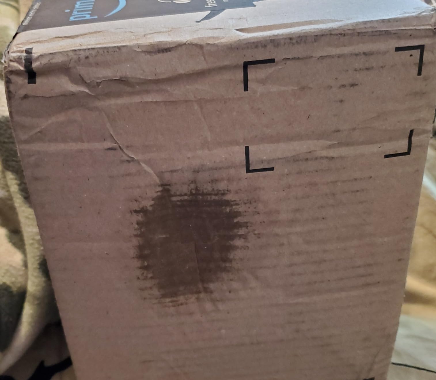 Amazon.com: Fischers Pickled Rope Bologna 40oz : Grocery & Gourmet Food