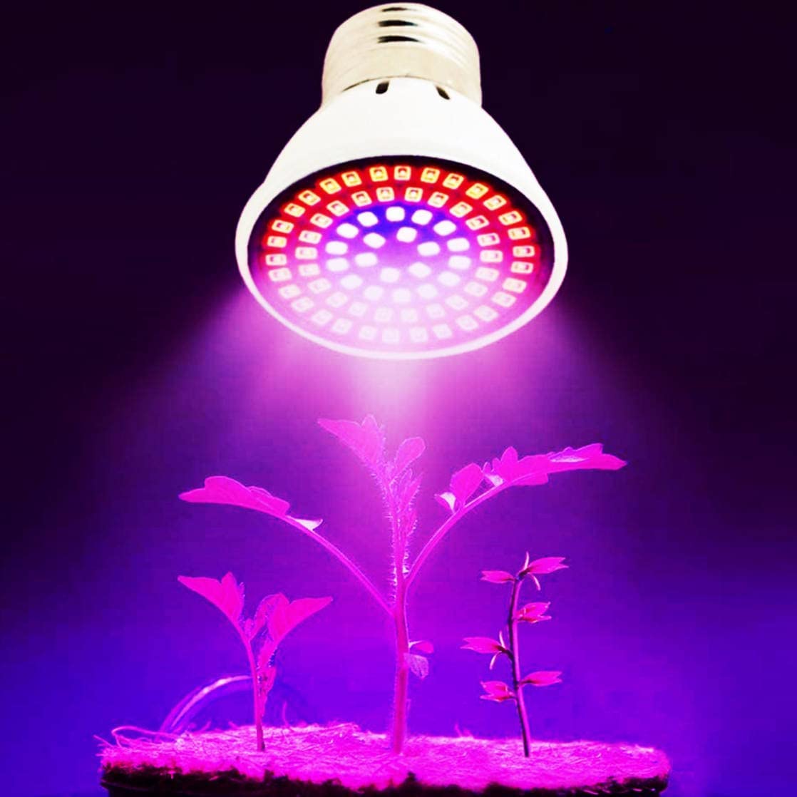 Amazon.com: Amzmall LED Grow Light Full Spectrum Clip Plant Growing ...