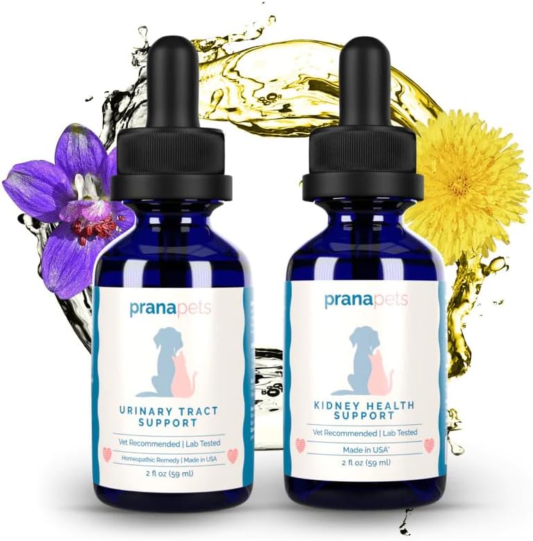 Amazon.com : Complete Bladder Pack Kidney Health Support Supplement for ...