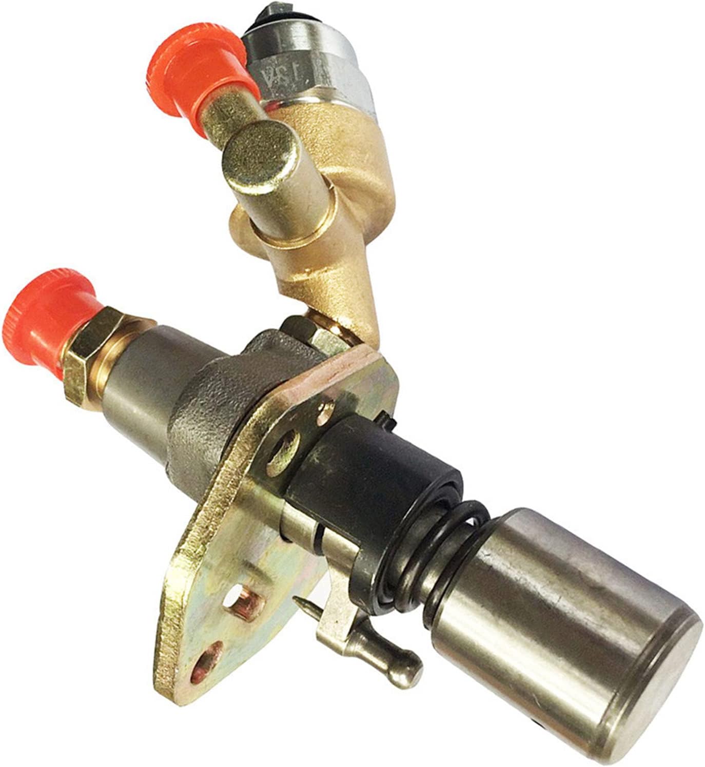 Amazon.com: WFLNHB 186 Fuel Injector Pump 186F with Solenoid ...