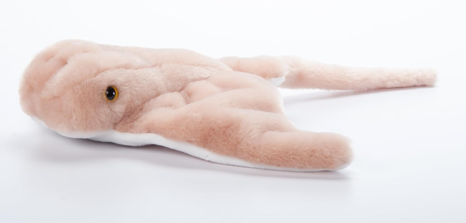 Amazon.com: The Petting Zoo Cownose Ray Stuffed Animal Plushie, Gifts ...