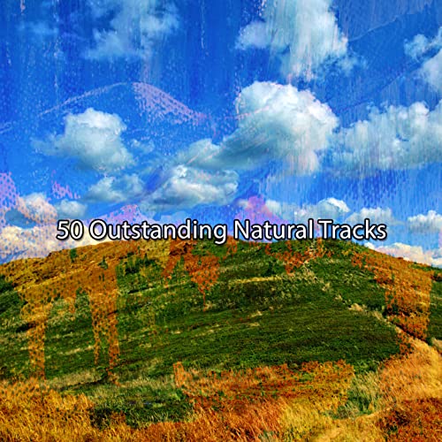 Spiele 50 Outstanding Natural Tracks von Asian Zen Spa Music Meditation ...