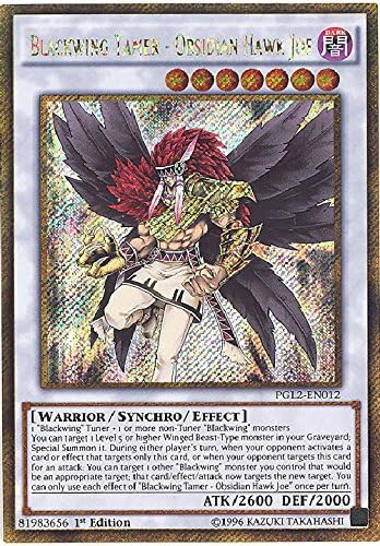Amazon.com: YU-GI-OH! - Blackwing Tamer - Obsidian Hawk Joe (PGL2-EN012 ...