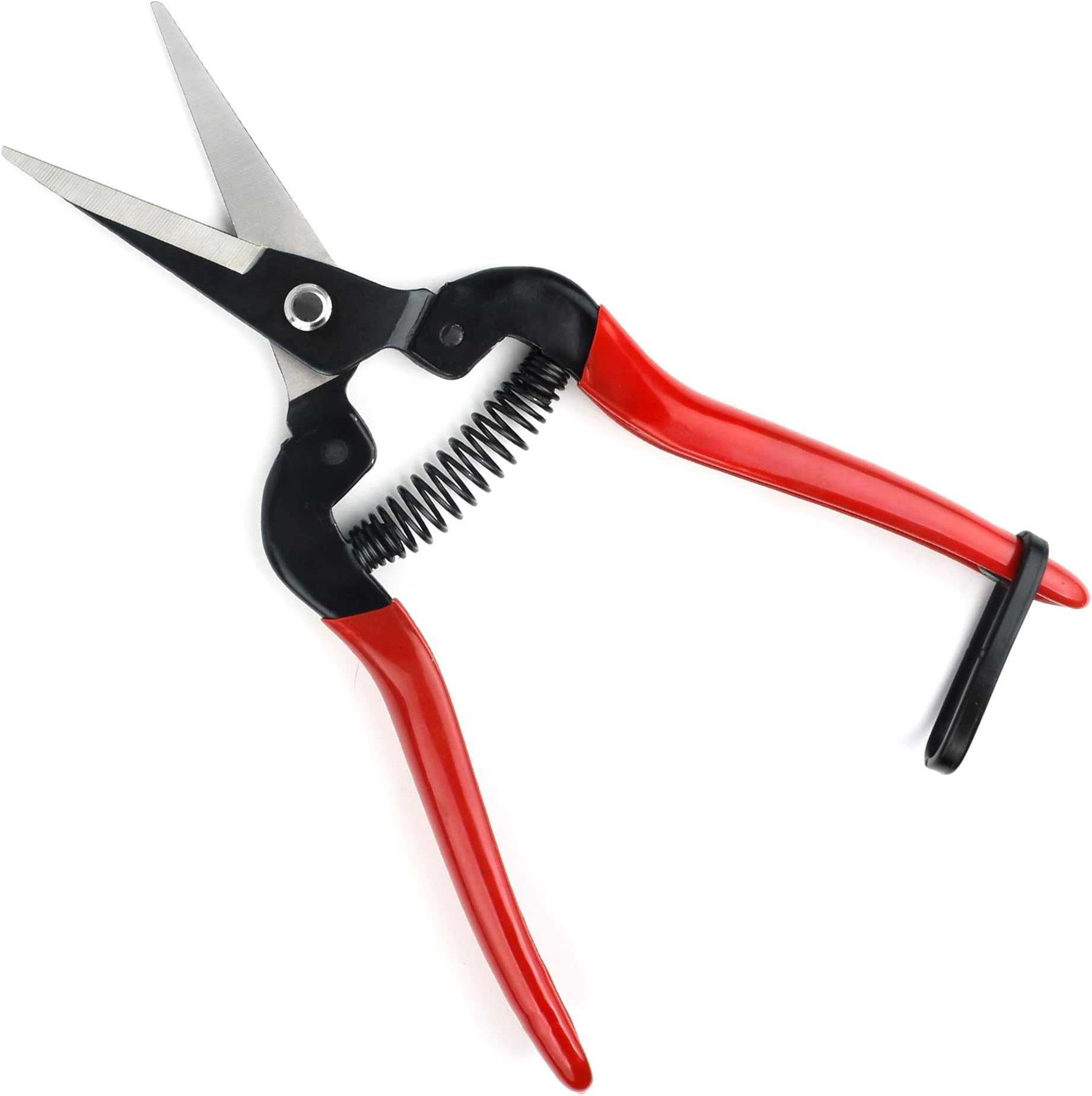ARS Fruit Picking Shears - 190mm | Garden Scissors for Fruit Picking ...