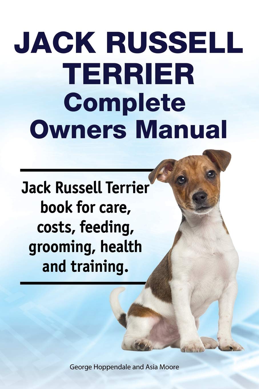 Can Jack Russell Terriers Adapt To Life