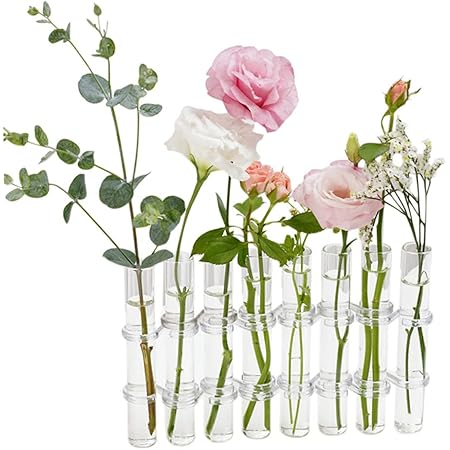 Amazon.com: Bigsee Test Tube Vase for Flowers, Glass Vase with Metal ...