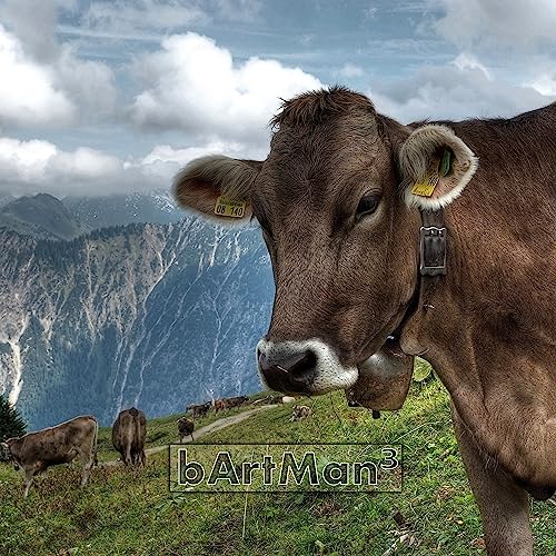Jp Bartman Vol 3 Remastered Bartman Digital Music