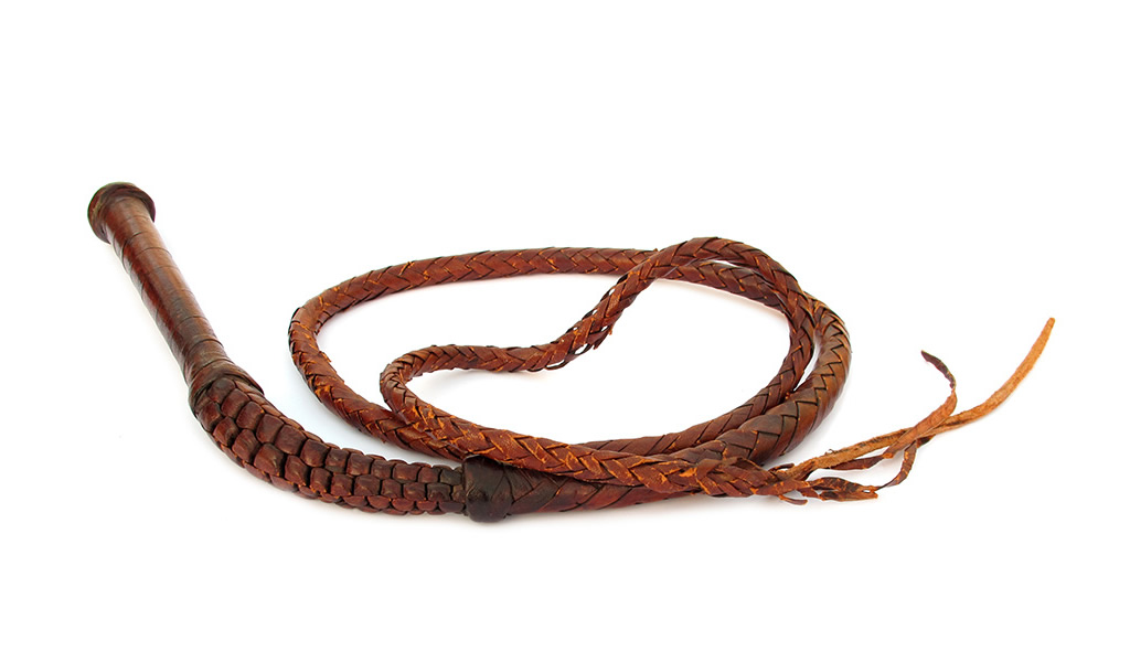 Whip Frenzy - Best Big Bang Whip - App on Amazon Appstore