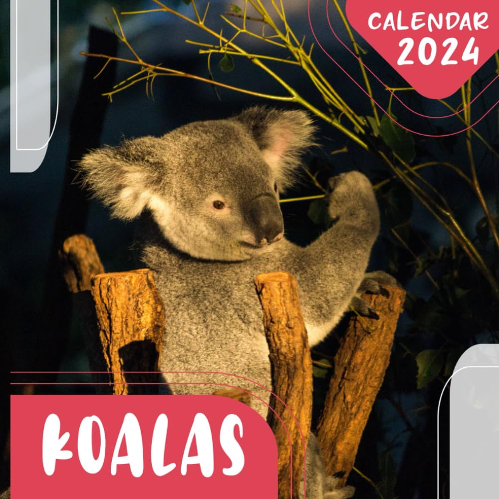 Amazon.com: Koalas Calendar 2024: 12-Month Calendar, January to ...