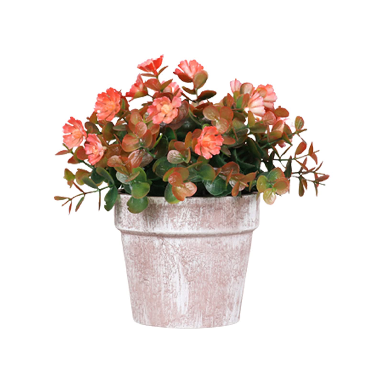 Faded Flower Potted Plant