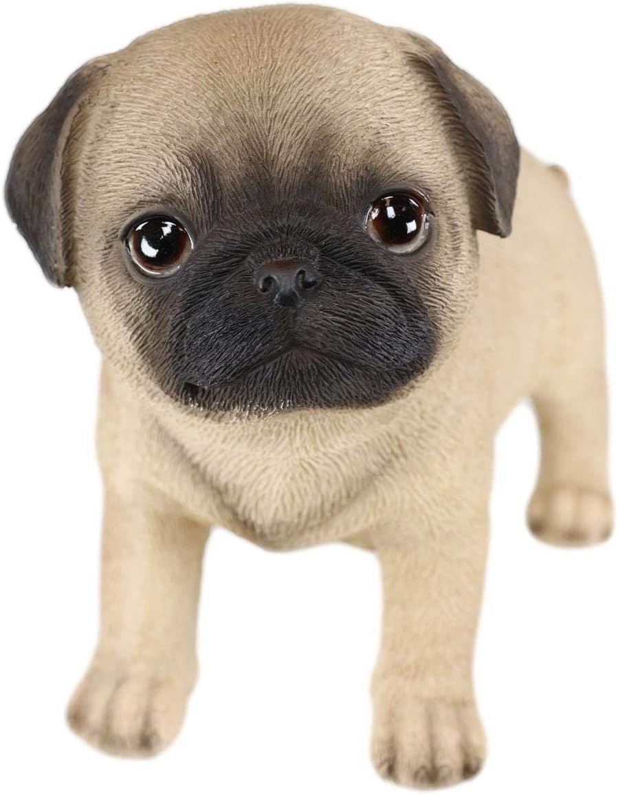Amazon.com: Ebros Realistic Lifelike Adorable Fawn Pug Puppy Dog Statue ...