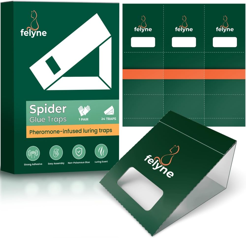 Amazon.com: S&T INC. Insect Traps, Glue Traps for Brown Recluse, Hobo ...